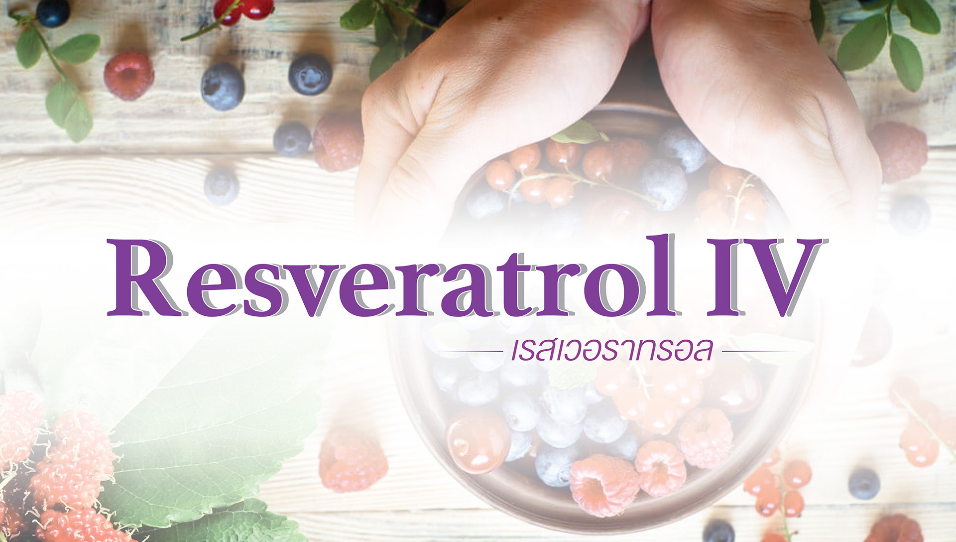 Resveratrol IV (เรสเวอราทรอล)